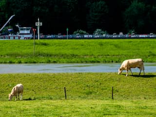 rijn | NU - Het laatste nieuws het eerst op NU.nl