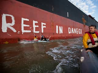 Great Barrier Reef | NU - Het laatste nieuws het eerst op NU.nl
