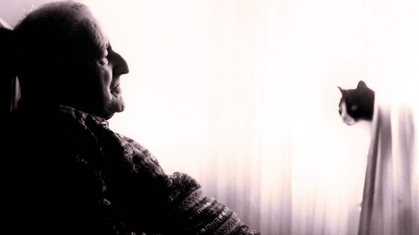 Laatste boek Frans Pointl verschijnt op 80ste verjaardag | Overig | NU.nl