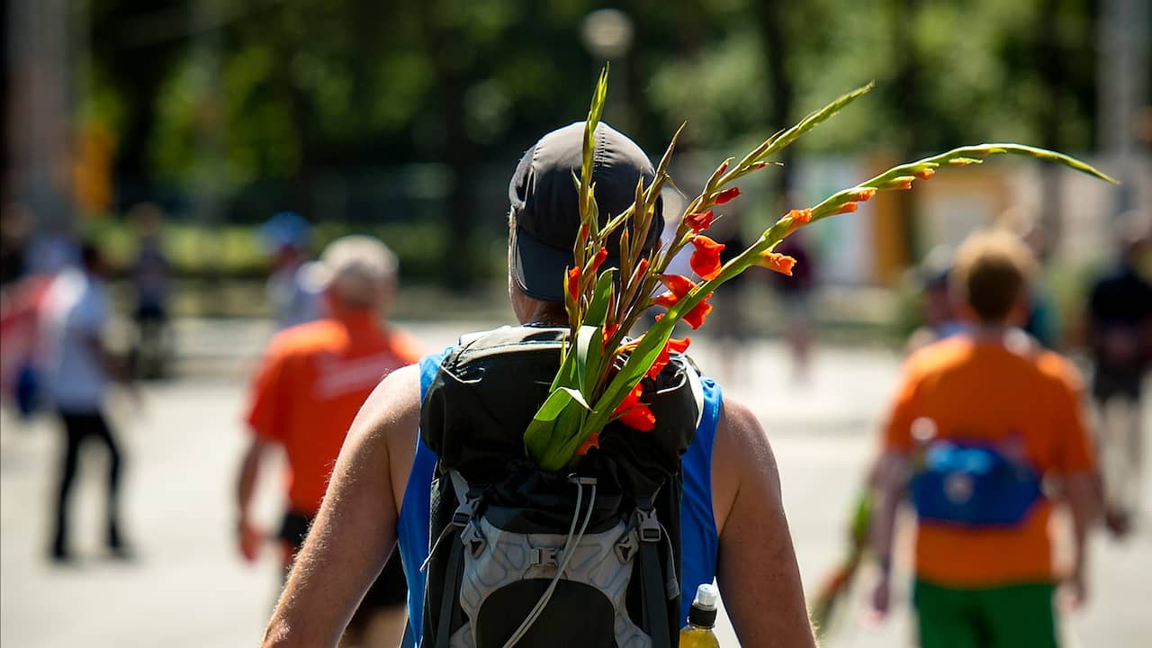 Gladiool stijgt dankzij Vierdaagse boven zichzelf uit | NUweekend | NU.nl