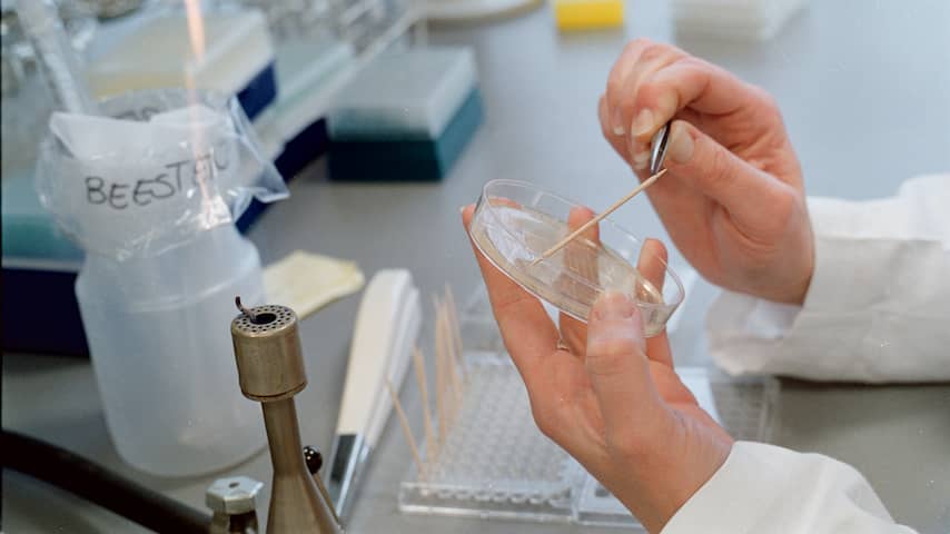 Pharming lanceert toegangsprogramma Ruconest | Beurs | NU.nl