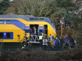 ermelo | NU - Het laatste nieuws het eerst op NU.nl