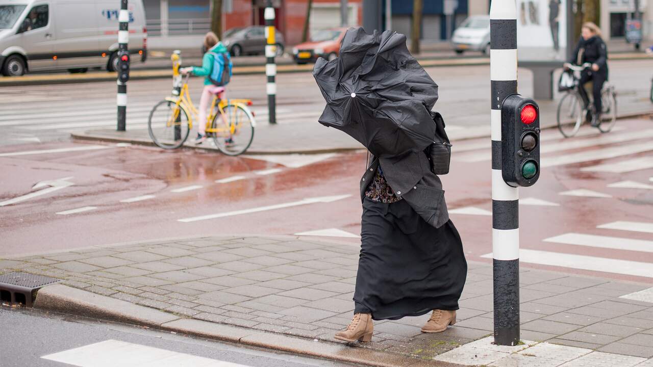 KNMI geeft code geel voor onstuimig weer en windstoten op zondag ...