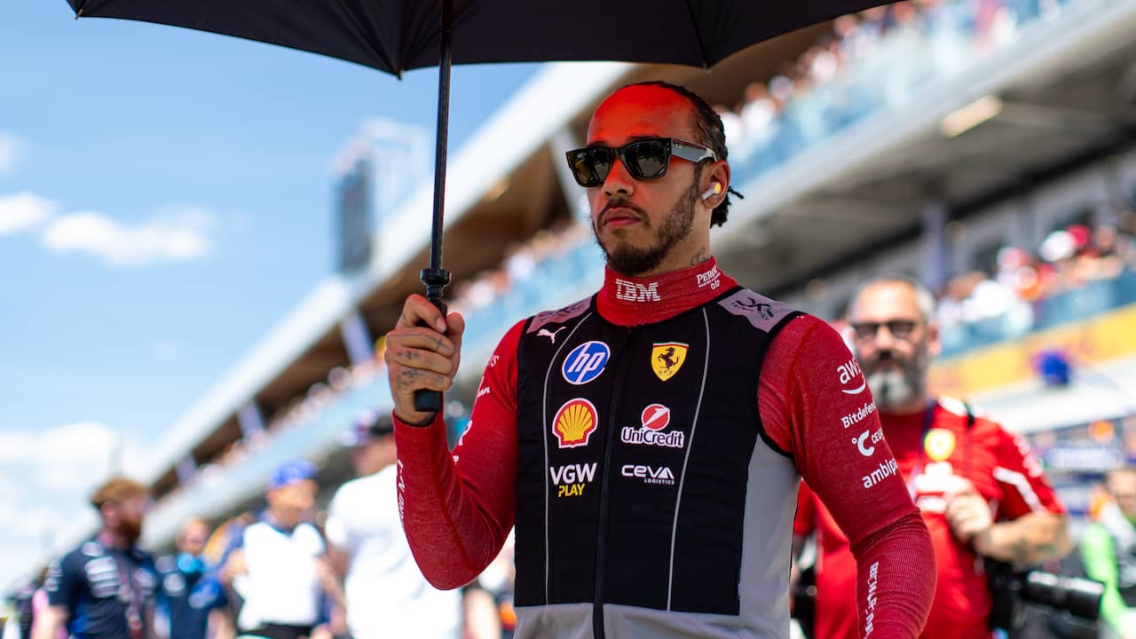 Hamilton na overrijden bosmarmot tijdens GP Canada: 'Ben hier zo ...