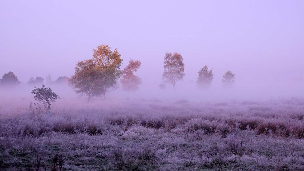Weerbericht: Matige vorst, bewolking en kans op (natte) sneeuw ...
