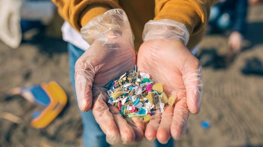 Plastic vis eten? 'Je kunt niet aan microplastics ontsnappen' | Eten en ...