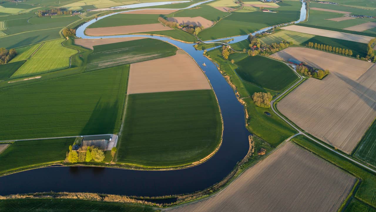Meer dan 100.000 hectare boerengrond moet natuur worden om doelen te ...