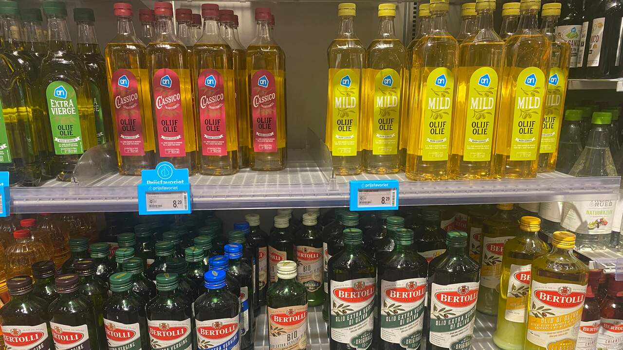 Olijfolieprijs kan mogelijk aanzienlijk omlaag na veel betere oogst in ...