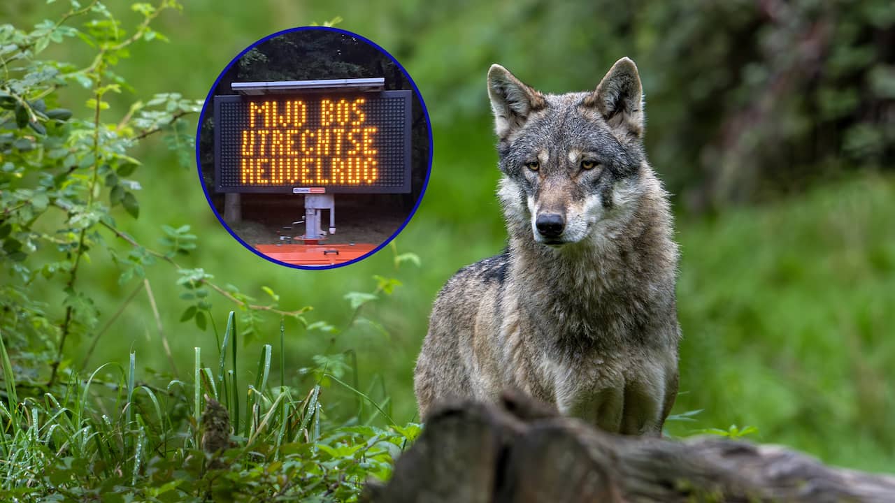 Provincie Utrecht en gemeenten plaatsen borden met waarschuwing voor ...