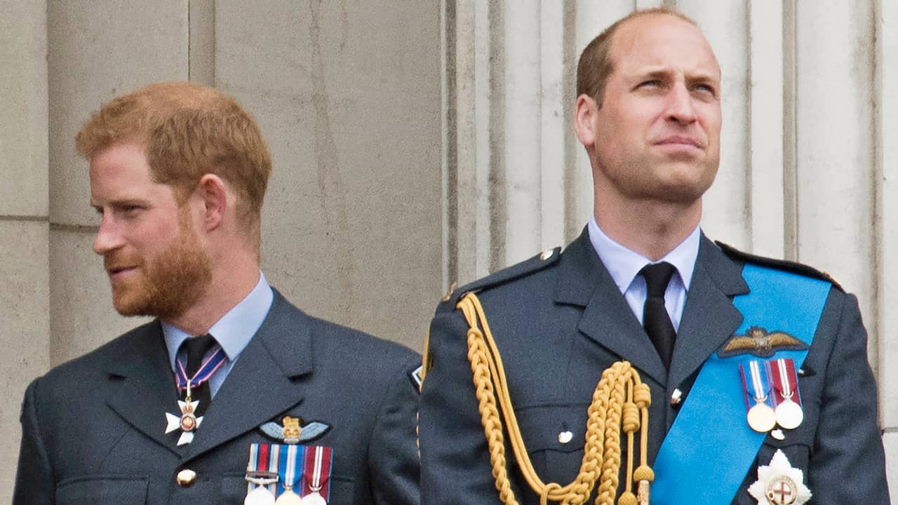 Ooit vrienden, nu gebrouilleerd: band Harry en William is rode draad in ...
