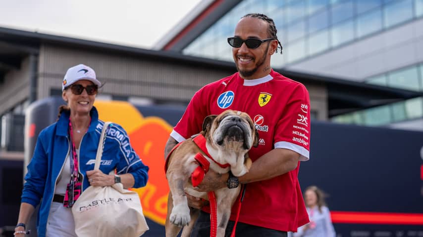 Hamilton rouwt om overlijden hond Roscoe: 'Ben mijn beste vriend ...