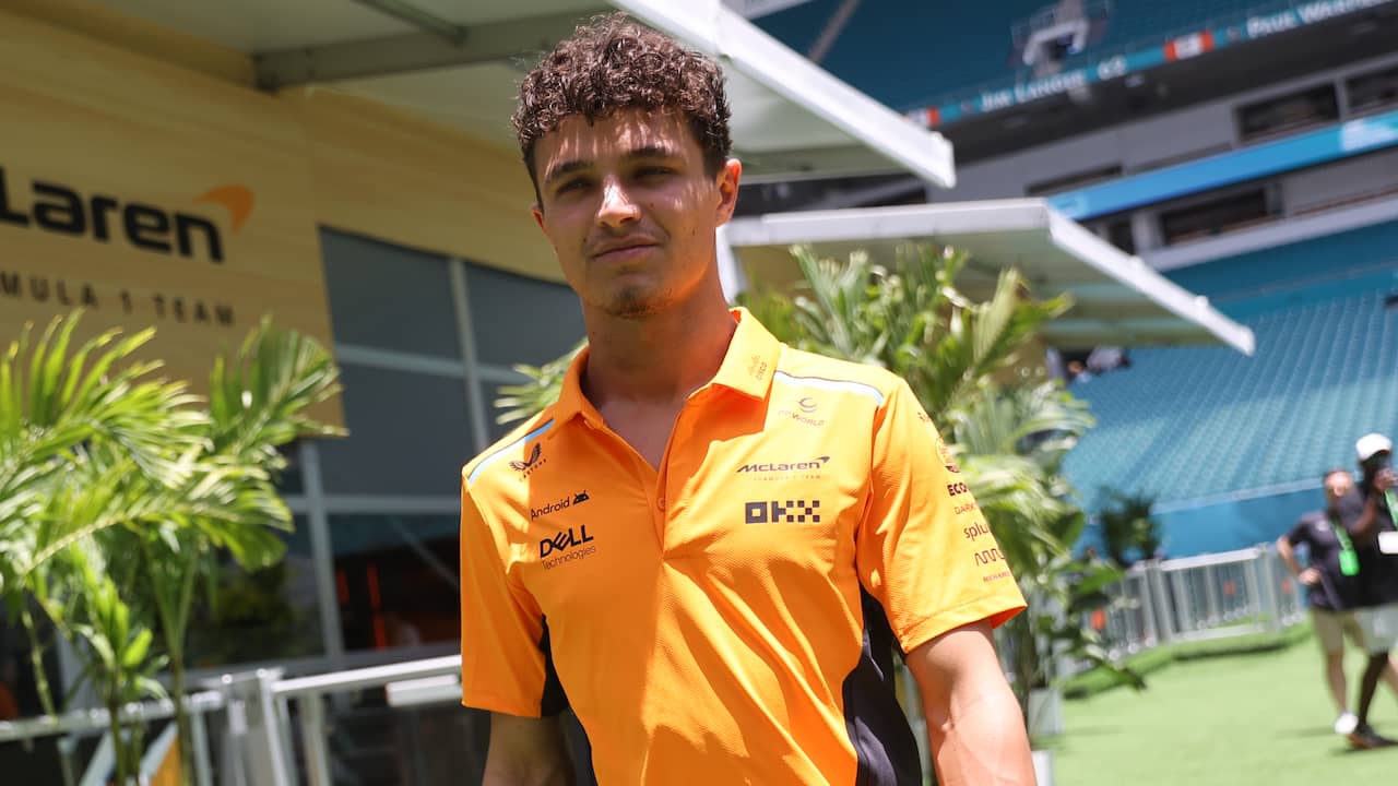 Norris zou iedereen Koningsdag aanraden, ondanks snee in neus | Formule ...