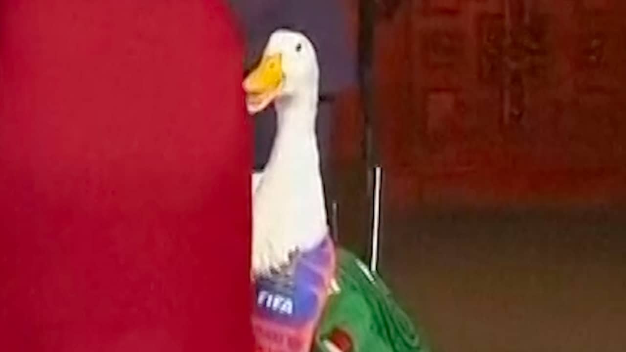 WK-mascotte hapt naar Mexicaanse president | NU.nl