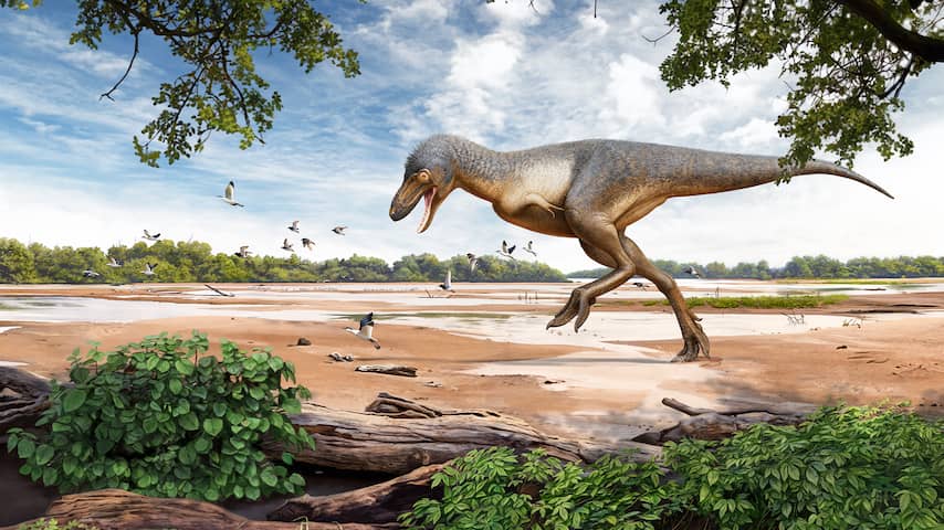Kinderen in VS vinden botten van dinosaurus, blijkt zeldzame ...