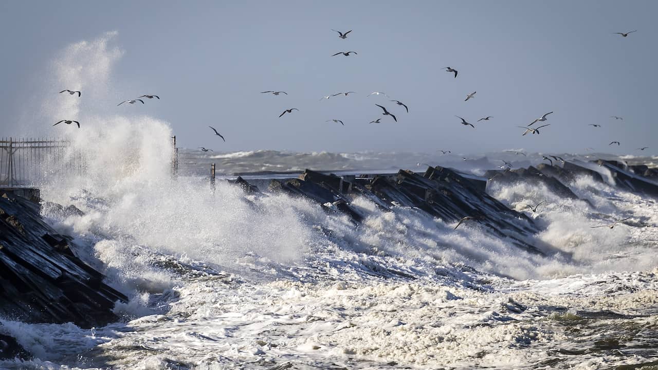 Weerbericht | Code geel om zware windstoten, tijdens Oranje droog en zonnig | Weerbericht | NU.nl