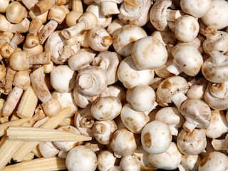 Eetweetjes: Dit wist je nog niet over… champignons | Eten en drinken ...
