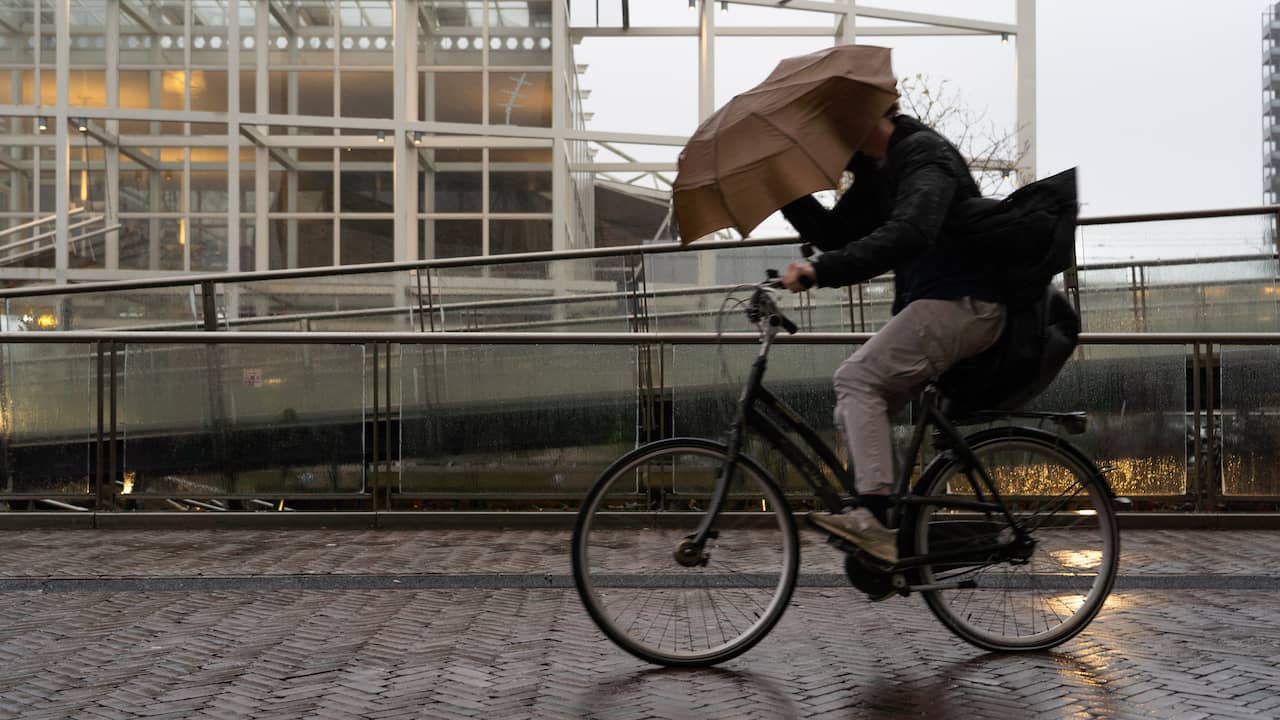 Storm Amy officieel in Nederland: uur lang gemiddeld windkracht 9 in ...