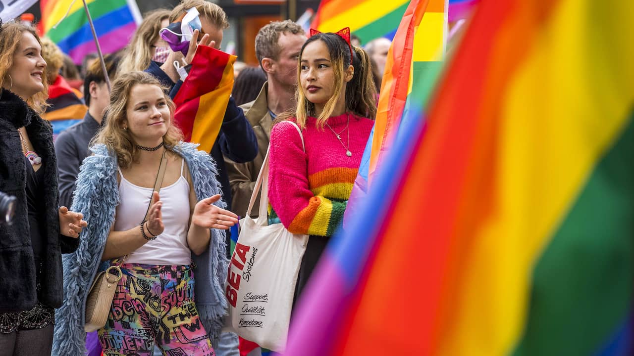 Veel reformatorische scholen werken nog altijd met antihomoverklaring ...