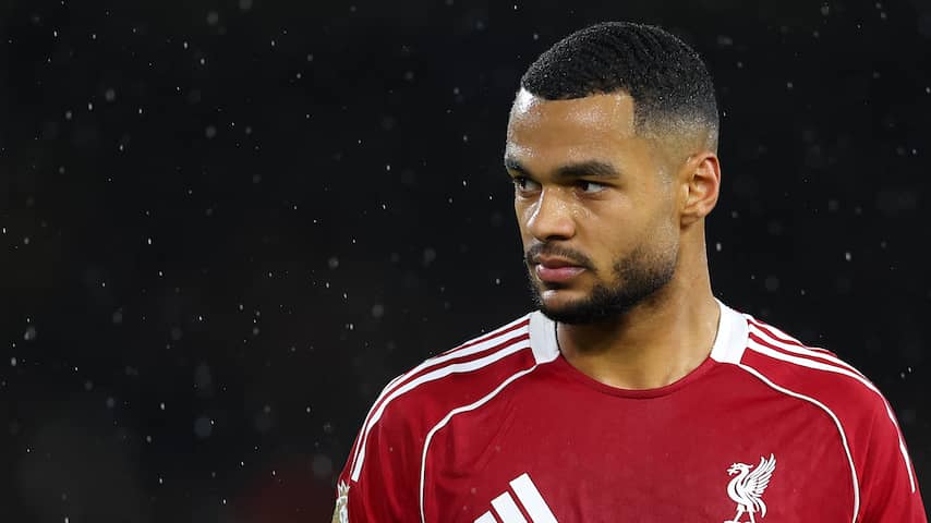 Nieuwe tegenvaller voor Liverpool en Slot: Gakpo wekenlang eruit door ...