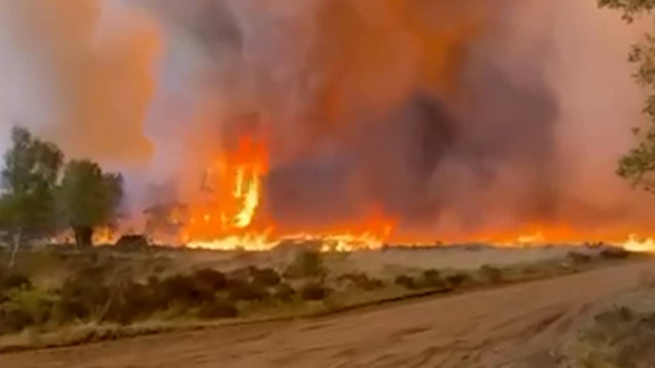 Teruglezen natuurbrand Veluwe | Brand volgens veiligheidsregio stabiel ...