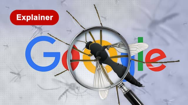 Waarom wil Google 32 miljoen muggen loslaten in de VS? | NU.nl