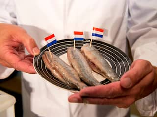 Haring | NU - Het laatste nieuws het eerst op NU.nl