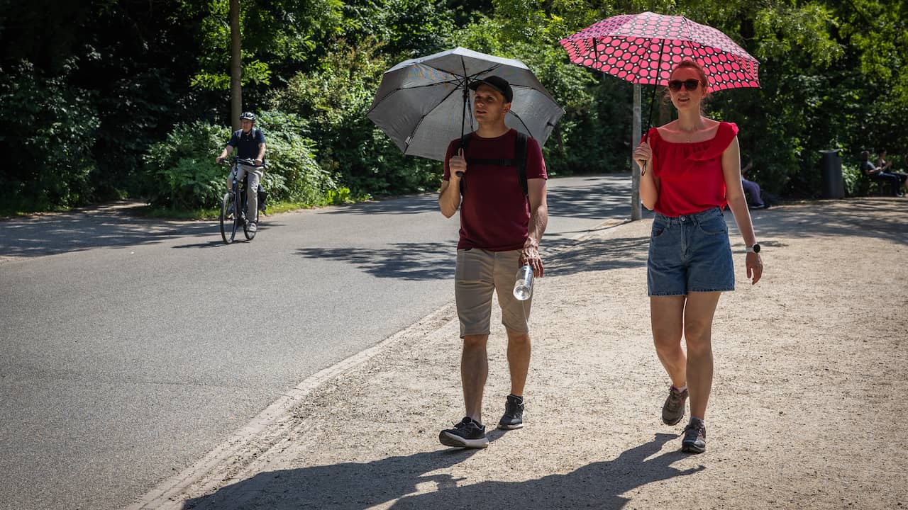 Teruglezen | Code geel in vrijwel het hele land vanwege aanhoudende ...