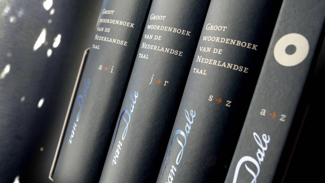 Van Dale verkiest 'hallucineren' tot Woord van het Jaar vanwege AI ...