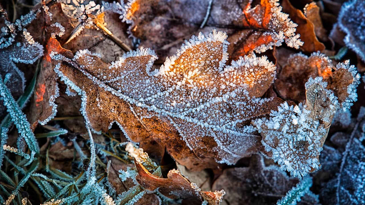 Met -10,1 graden is eerste (lokale) strenge vorst van het seizoen een ...