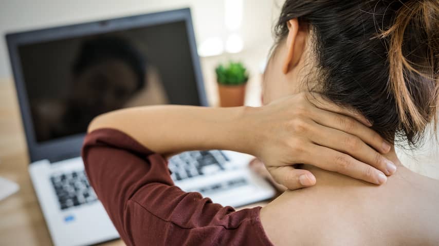 Onderhoudsbedrijf dat ziektes registreerde krijgt boete van 15.000 euro ...