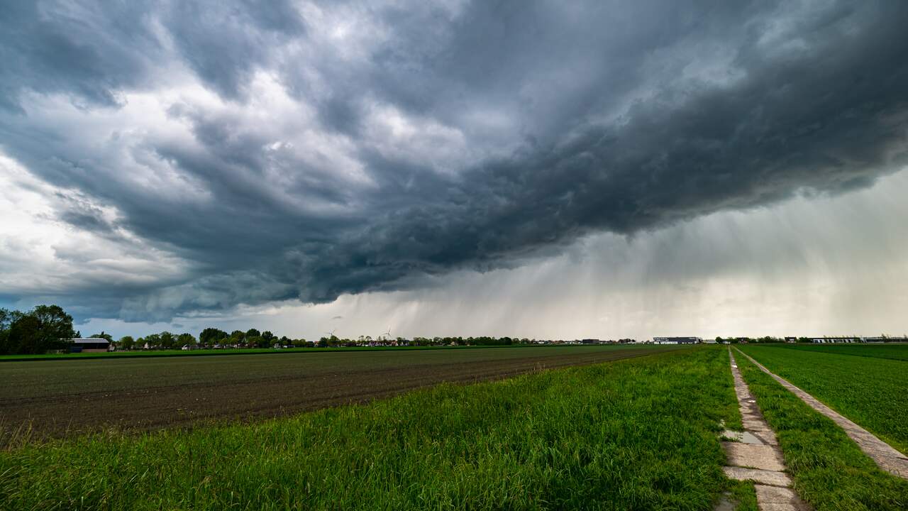 Weerbericht | Regenachtige dag met harde wind aan zee | Weerbericht | NU.nl