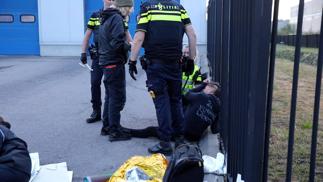 Tientallen activisten aangehouden na bezetting vier slachterijen ...