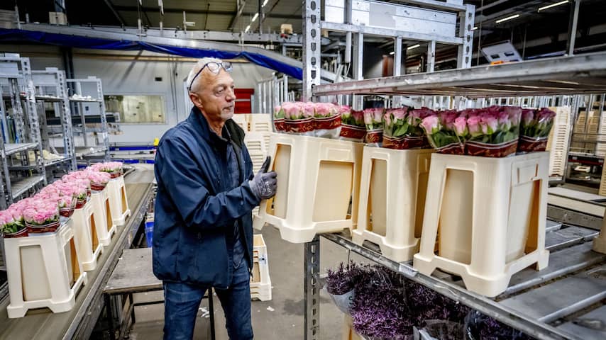 Meer uren werken 'van groot belang' om vergrijzing op arbeidsmarkt te ...
