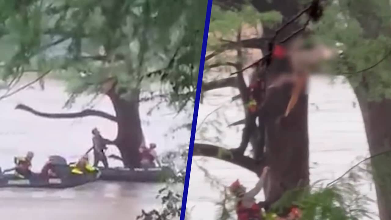 Amerikaanse na uren uit boom gered midden in kolkende rivier | NU.nl