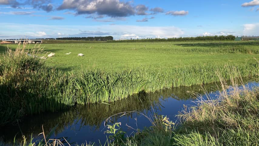 Onenigheid over bouw heel nieuw dorp, meters onder zeeniveau ...