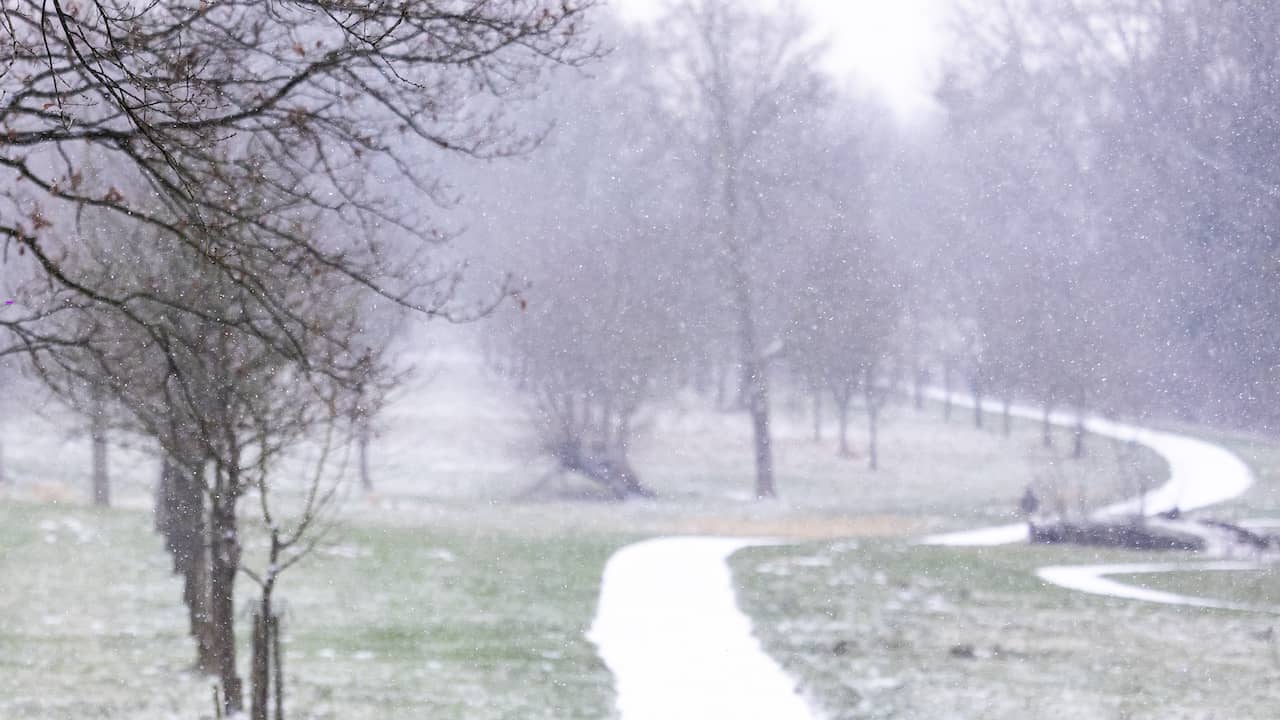 Code geel in oostelijke helft van het land vanwege gladheid door ...