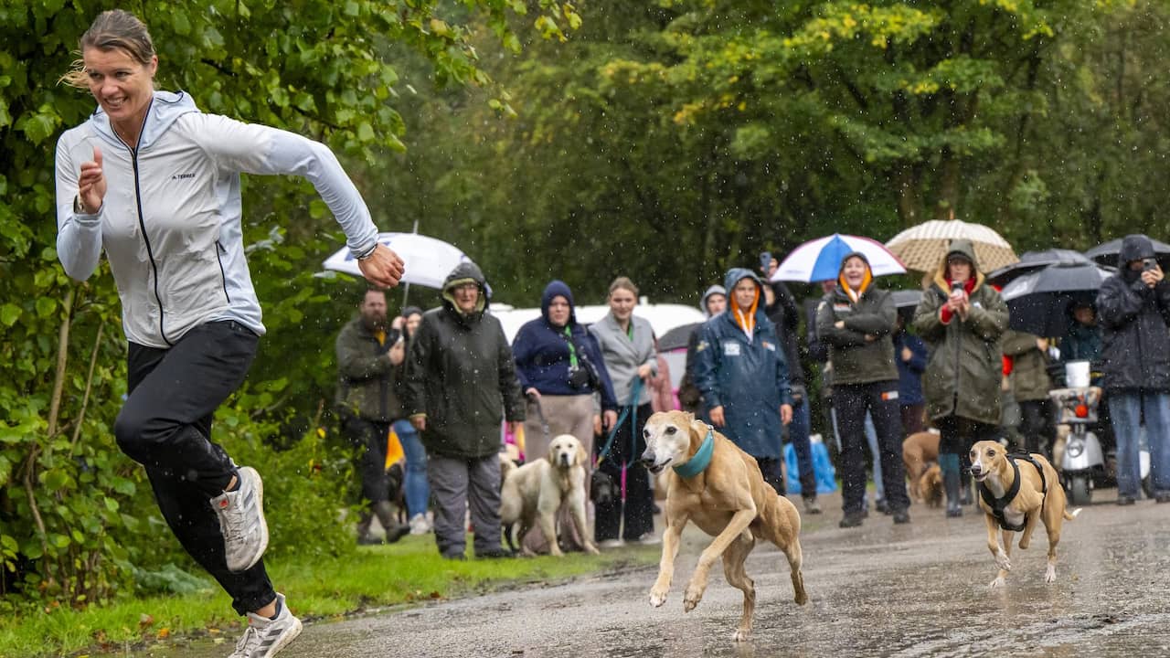 Dafne Schippers racet tegen honden op de eerste DogOlympics | NU.nl
