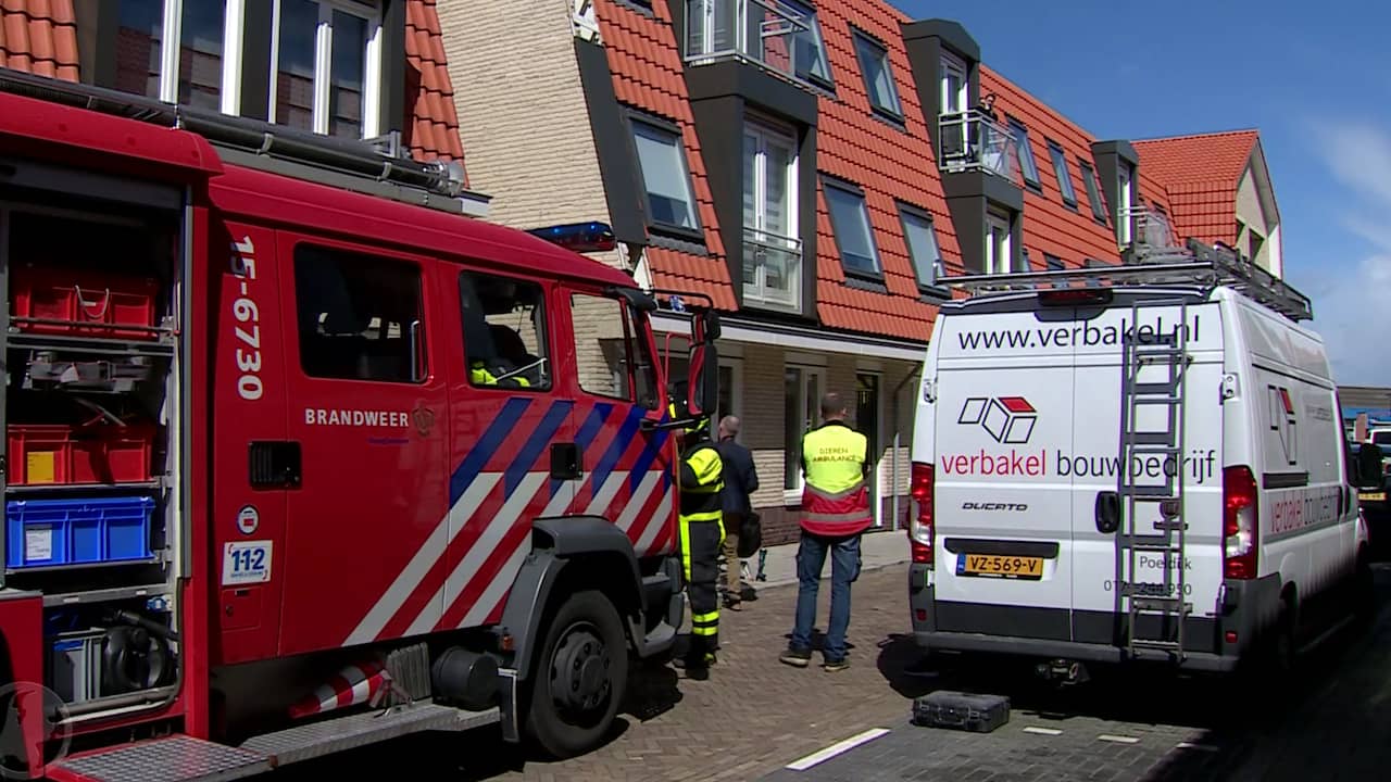 Aannemer breekt muur open voor kat | NU.nl