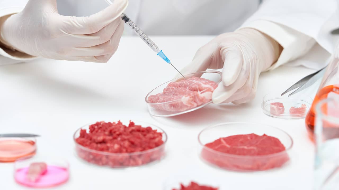 Binnenkort kun je mogelijk vlees uit een laboratorium proeven ...