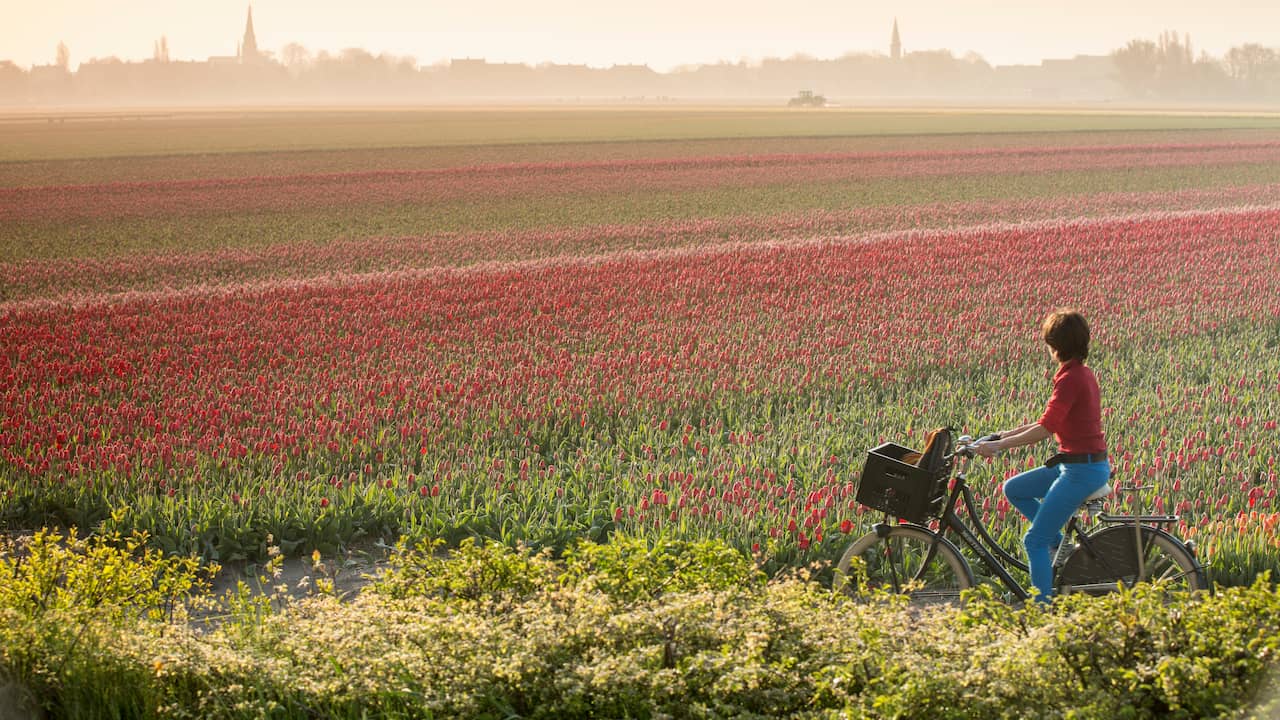 Weerbericht: Bewolkt begin van de dag met veel zon in het vooruitzicht ...