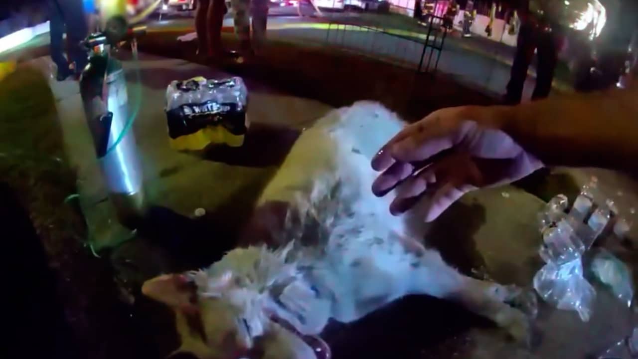 Bodycambeelden tonen hoe politie hond uit brandend huis redt in VS | NU.nl