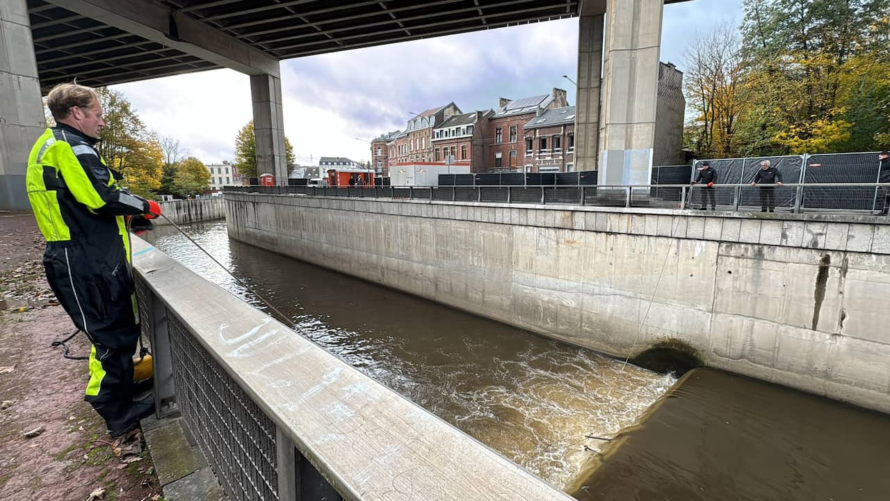 Politie speurt naar sporen van TEFAF-roof in Belgische rivier | NU.nl