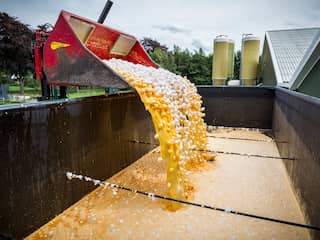 Fipronil | NU - Het laatste nieuws het eerst op NU.nl