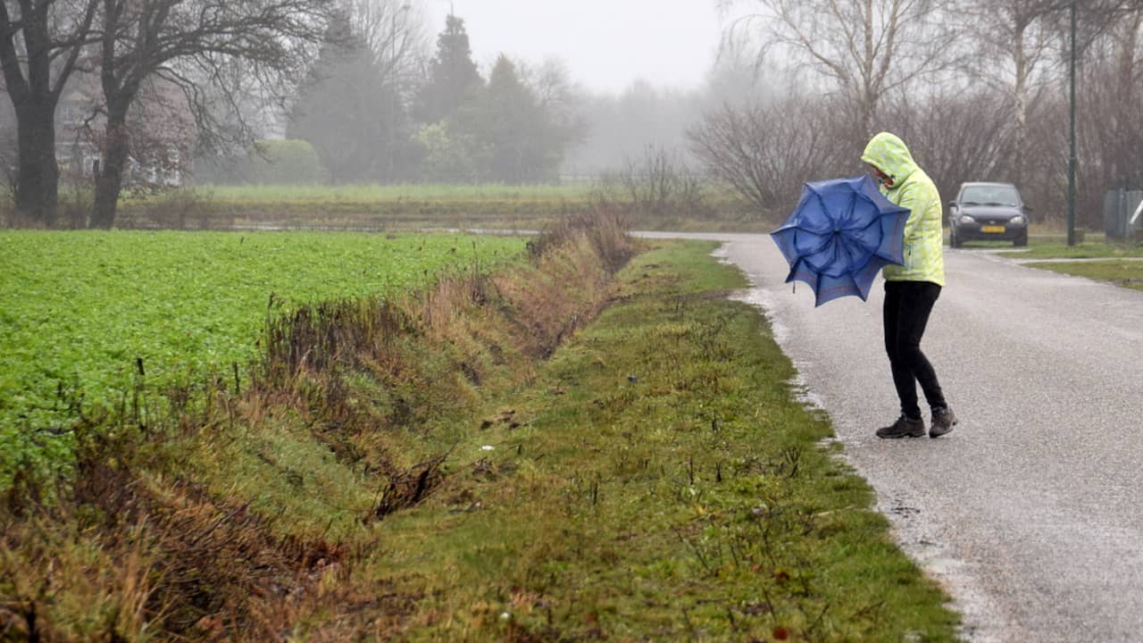 Weerbericht: Bewolkt en in de middag vanuit het westen regen | Binnenland | NU.nl