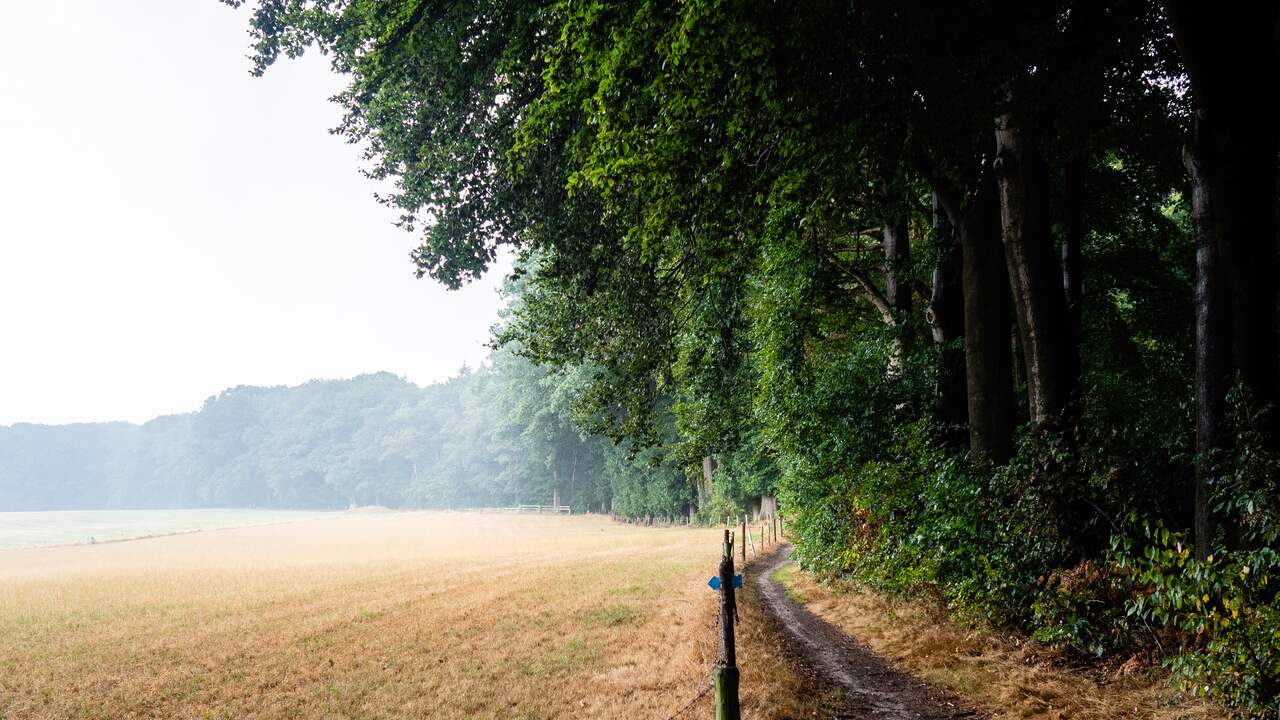 Weerbericht | Herfstachtige dag met veel regen en sterke wind | Weerbericht | NU.nl