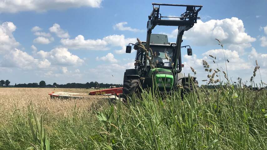 Hoe natuur en landbouw wél prima samen kunnen gaan | Achtergronden | NU.nl