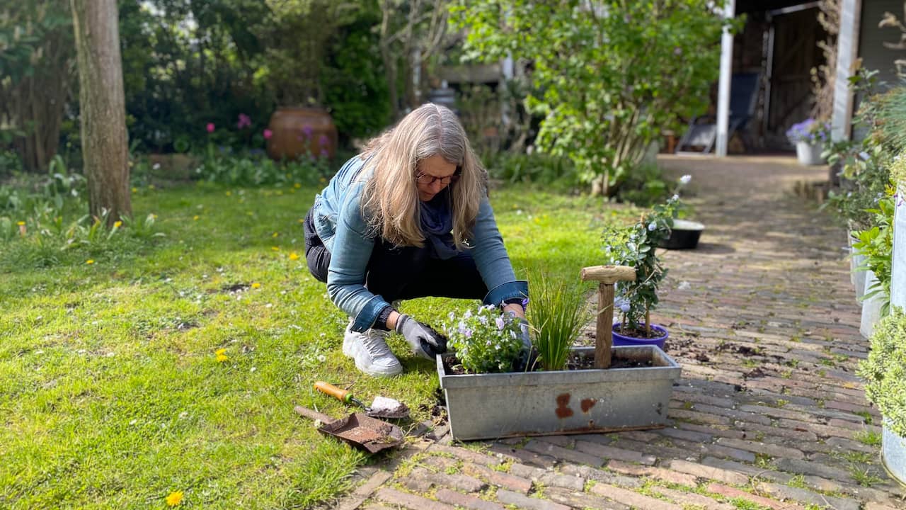 Wil je je tuin of balkon klaarmaken voor de lente? Stel al je vragen hier (gesloten) | NUjij | NU.nl