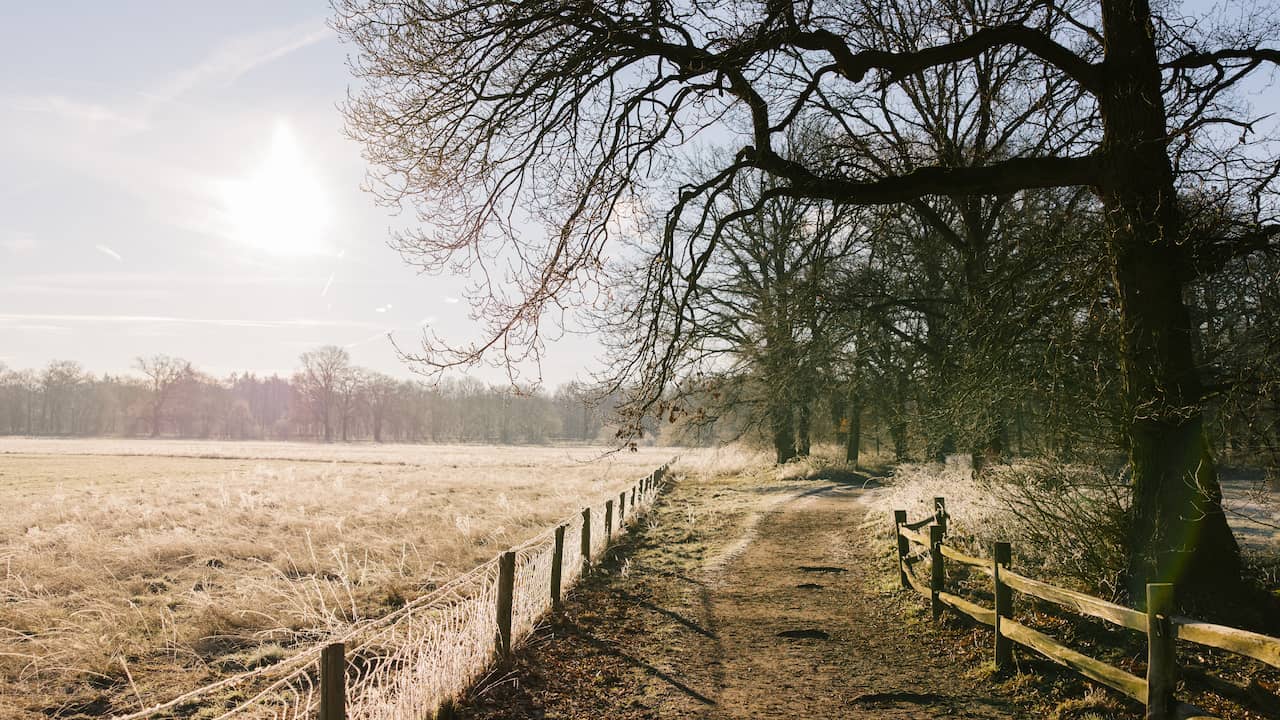 Voor het eerst deze winter matige vorst gemeten, laagste temperatuur in ...
