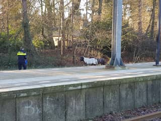Ommen | NU - Het laatste nieuws het eerst op NU.nl