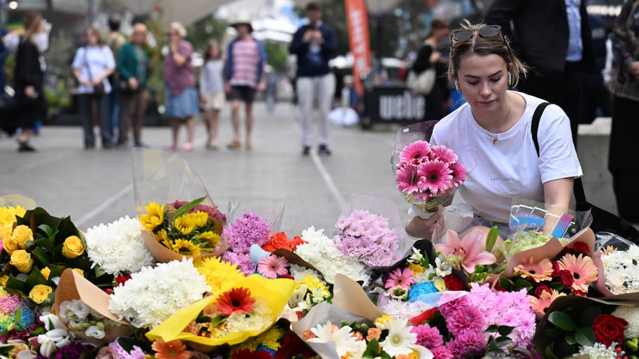 Dader dodelijke steekpartij in winkelcentrum Sydney had psychische ... Dader dodelijke steekpartij in winkelcentrum Sydney had psychische ...
